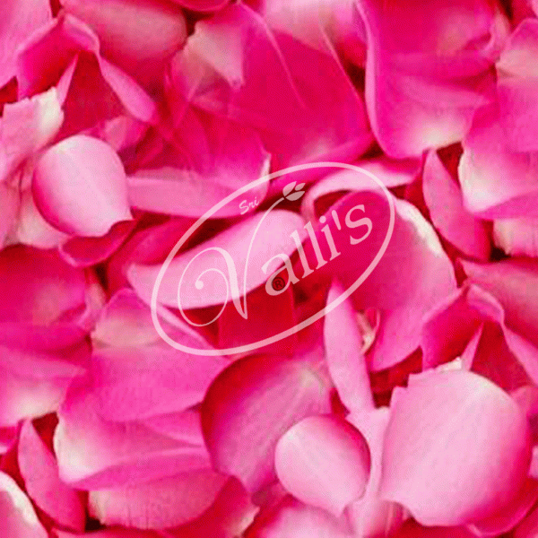 Rose Petals – LF0031 - Vallis UK