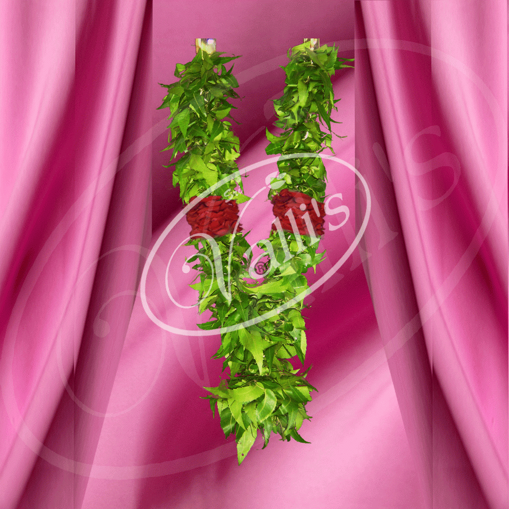 Neem Leave Garland Single Border – TPNM0001 - Vallis UK